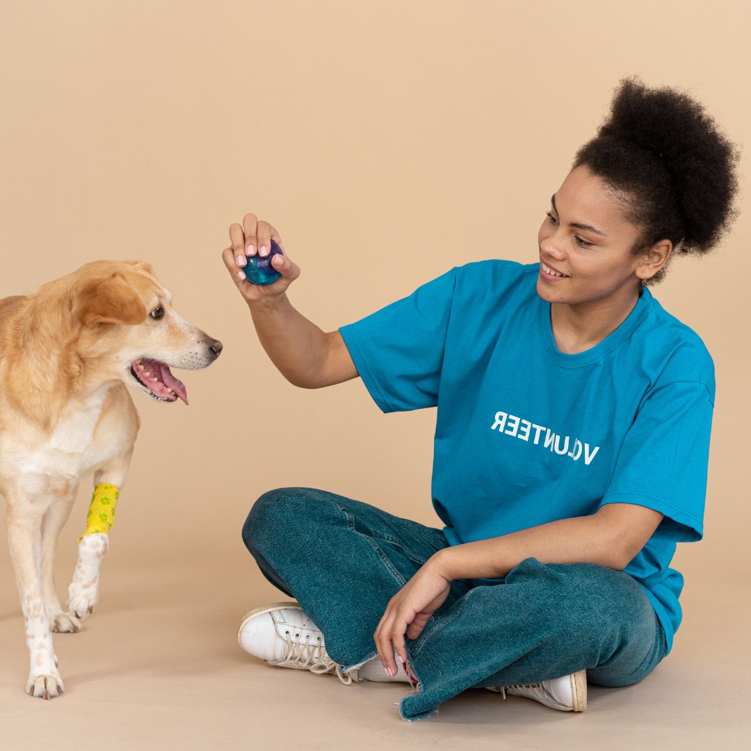 Interview - Bounce and Bark